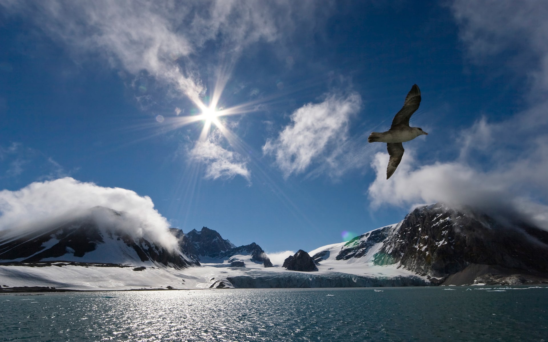 Wildlife, wilderness and war on plastic: The life of an Arctic ...